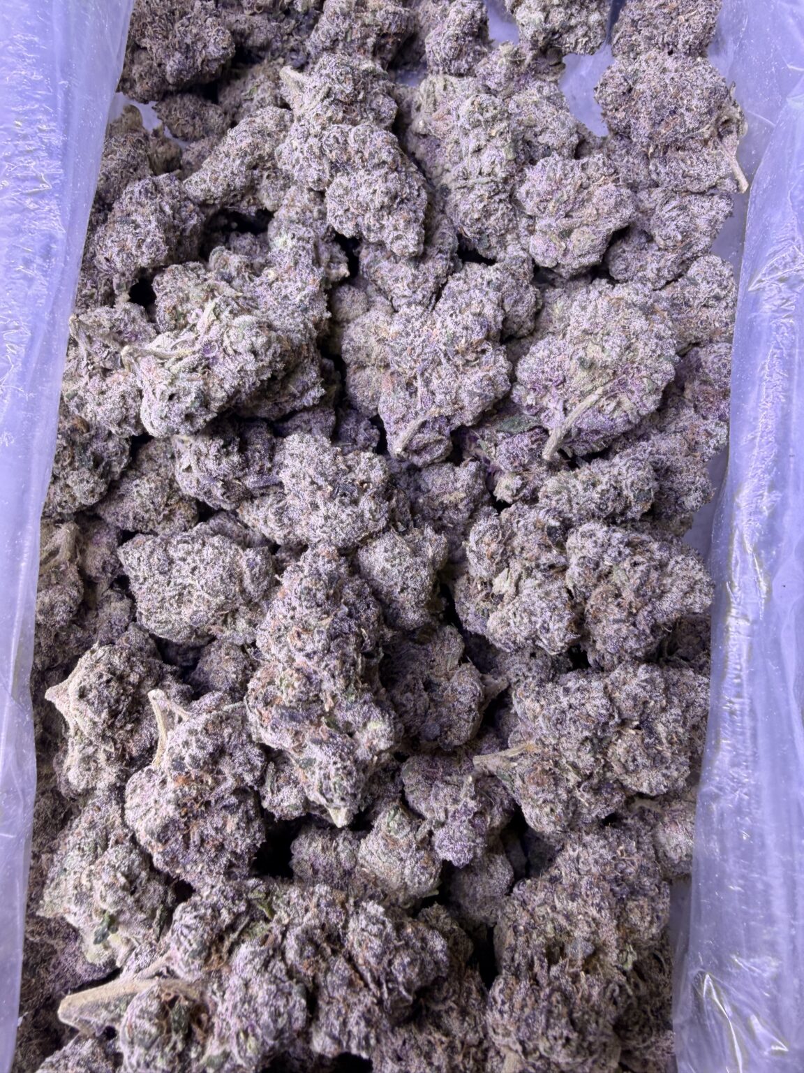 LEMON CHERRY SKITTLES – $300/oz – Hedgenix