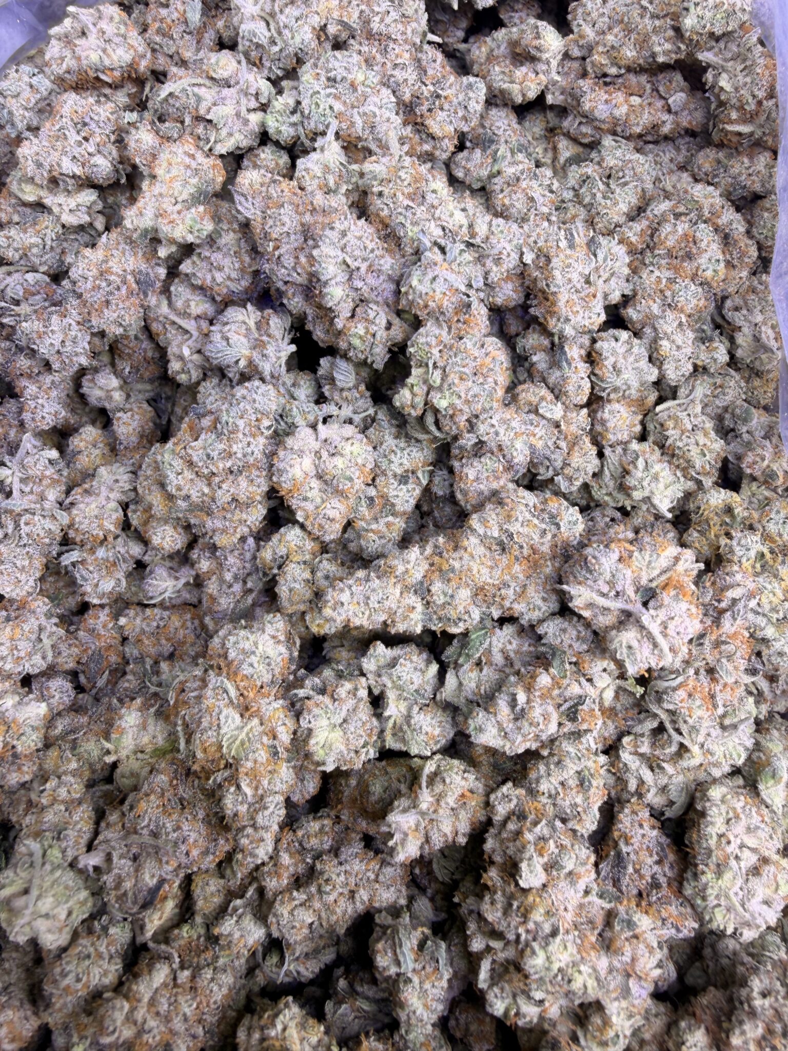 GARLIC COOKIES – $300/oz – Hedgenix